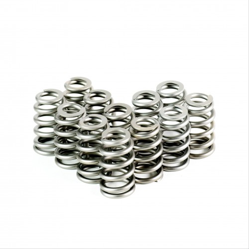 4511X-12 - Ecotec PAC Conical Valve Springs
